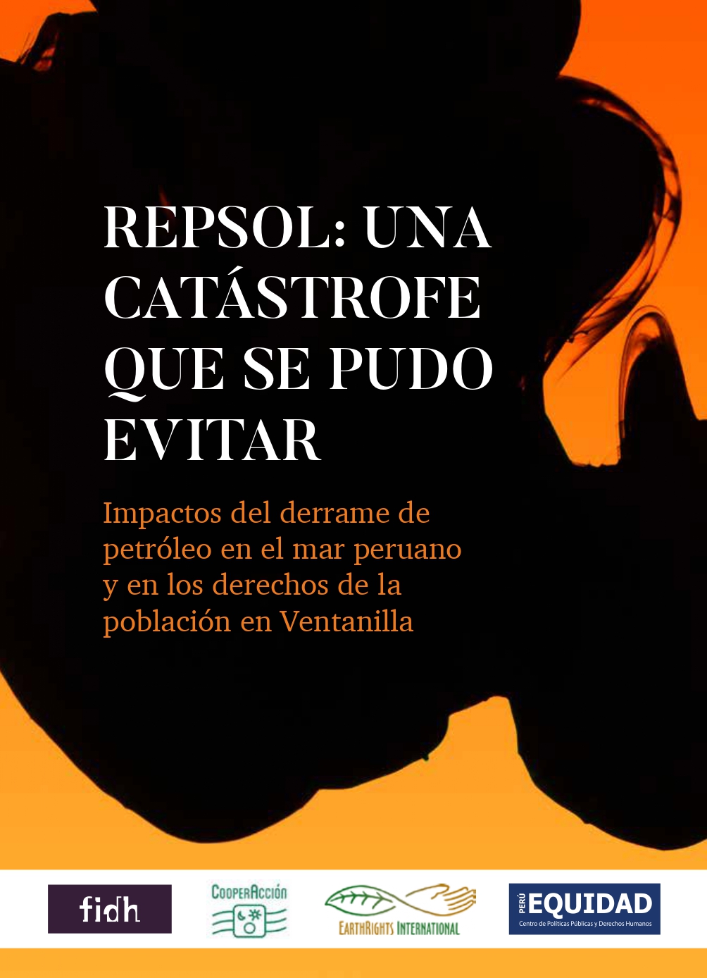 Repsol: una catástrofe que se pudo evitar - CooperAcción