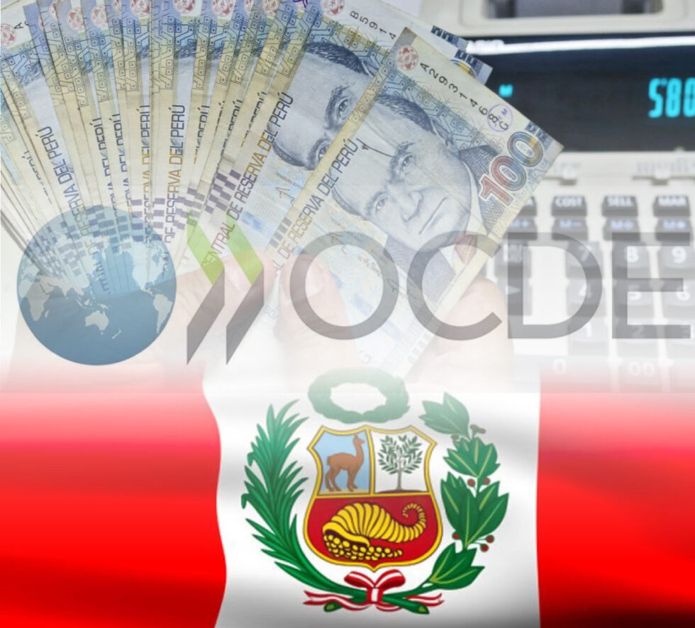 La OCDE y la reforma tributaria en el Perú : CooperAcción