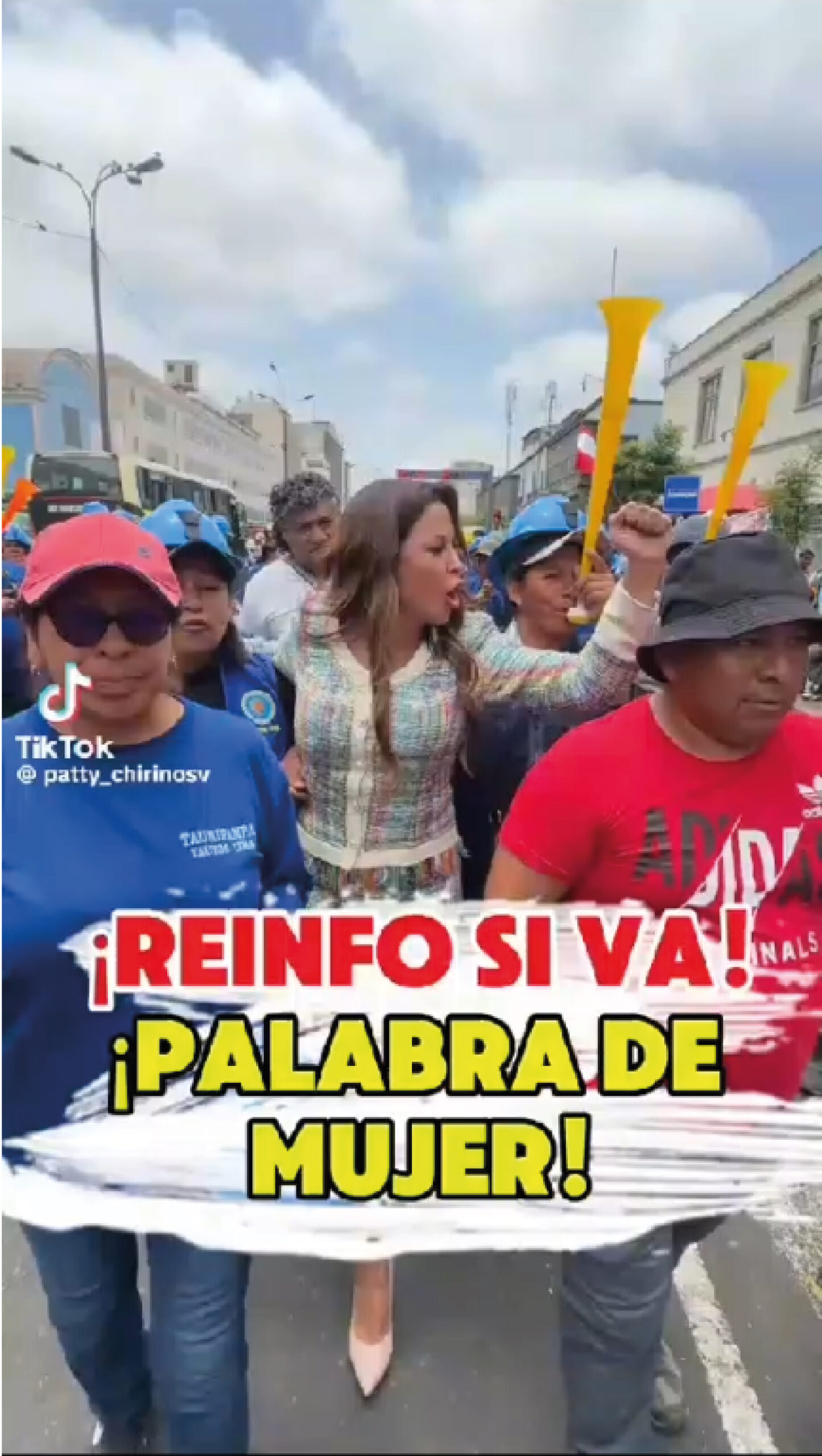 Los partidos que apoyan a los mineros informales - CooperAcción